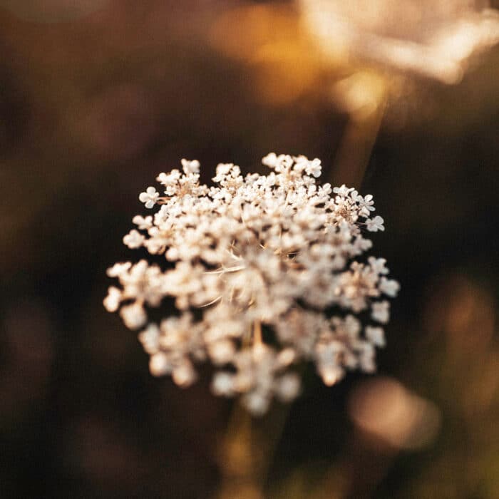 The Campus and Scenery - Sally Port View