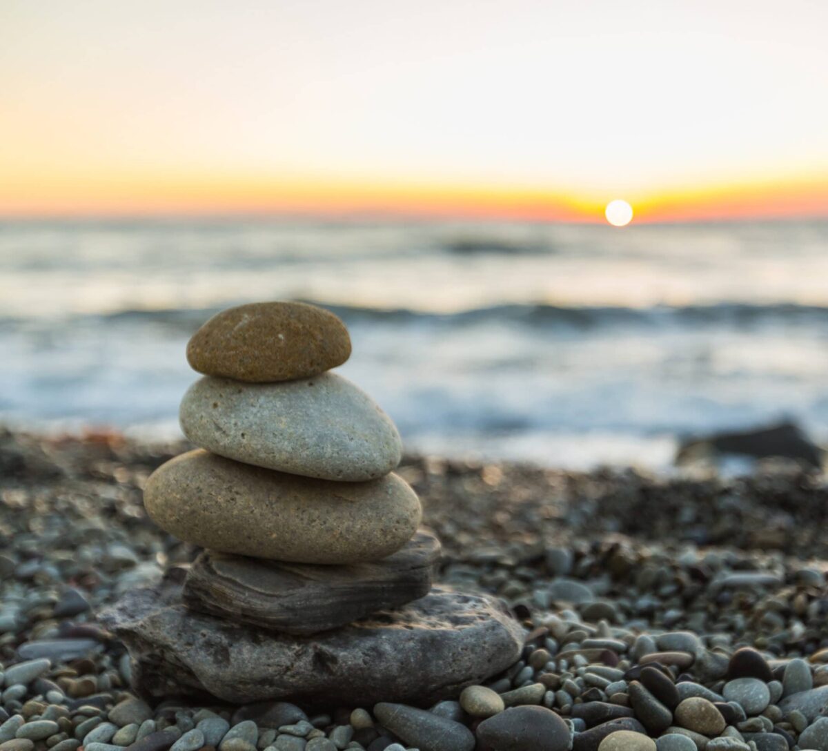 The Campus and Scenery - Sally Port View
